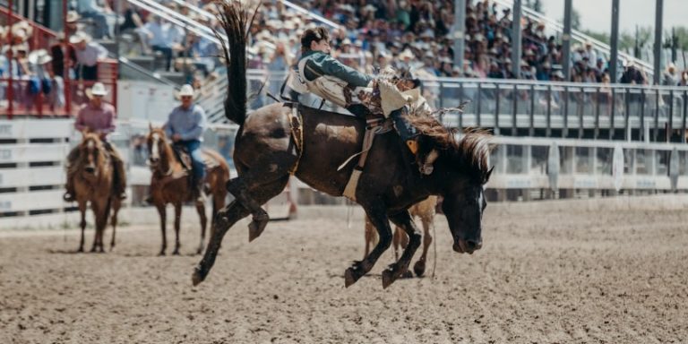 Texas Rodeos - Texas Capital Forum & Coalition